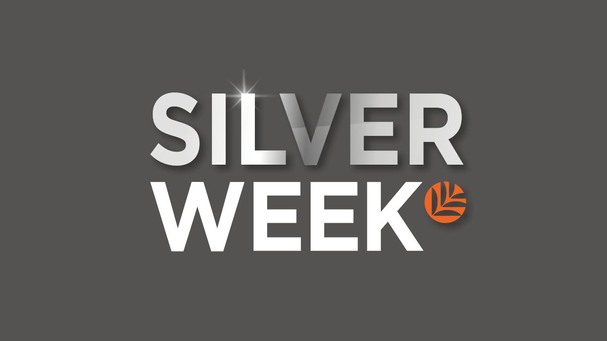 O que é - Silver Week